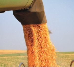 Institutional - Lar Cooperativa Agroindustrial